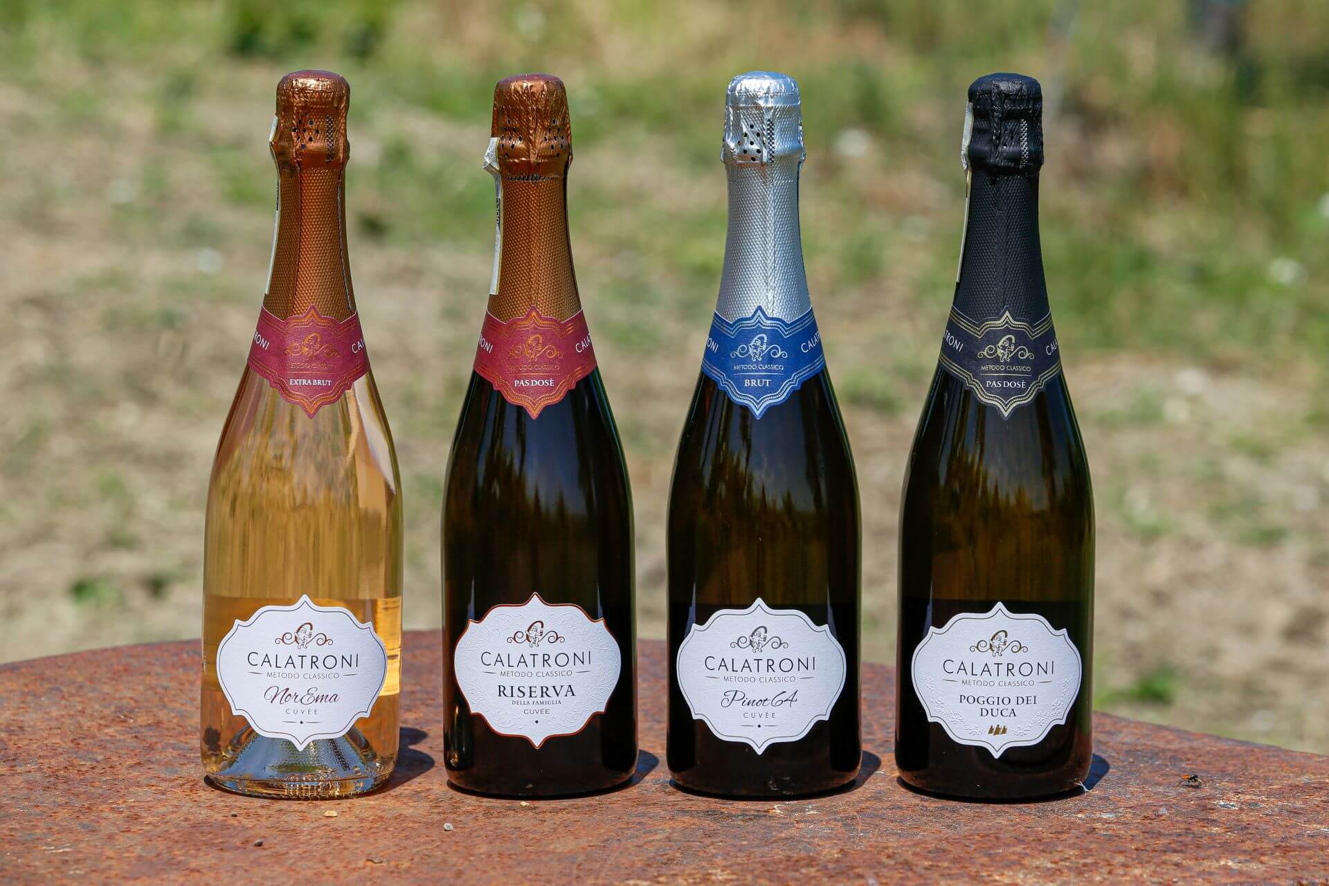 Calatroni Vini - Portale Oltrepò Pavese